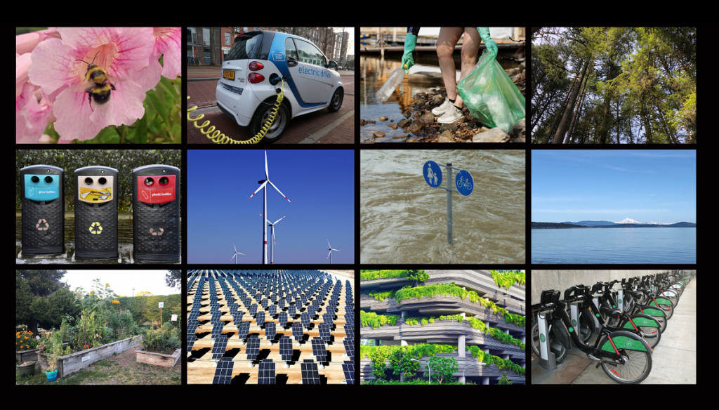 Environmental-Images-by-Illuminate-Multimedia, Communications ...